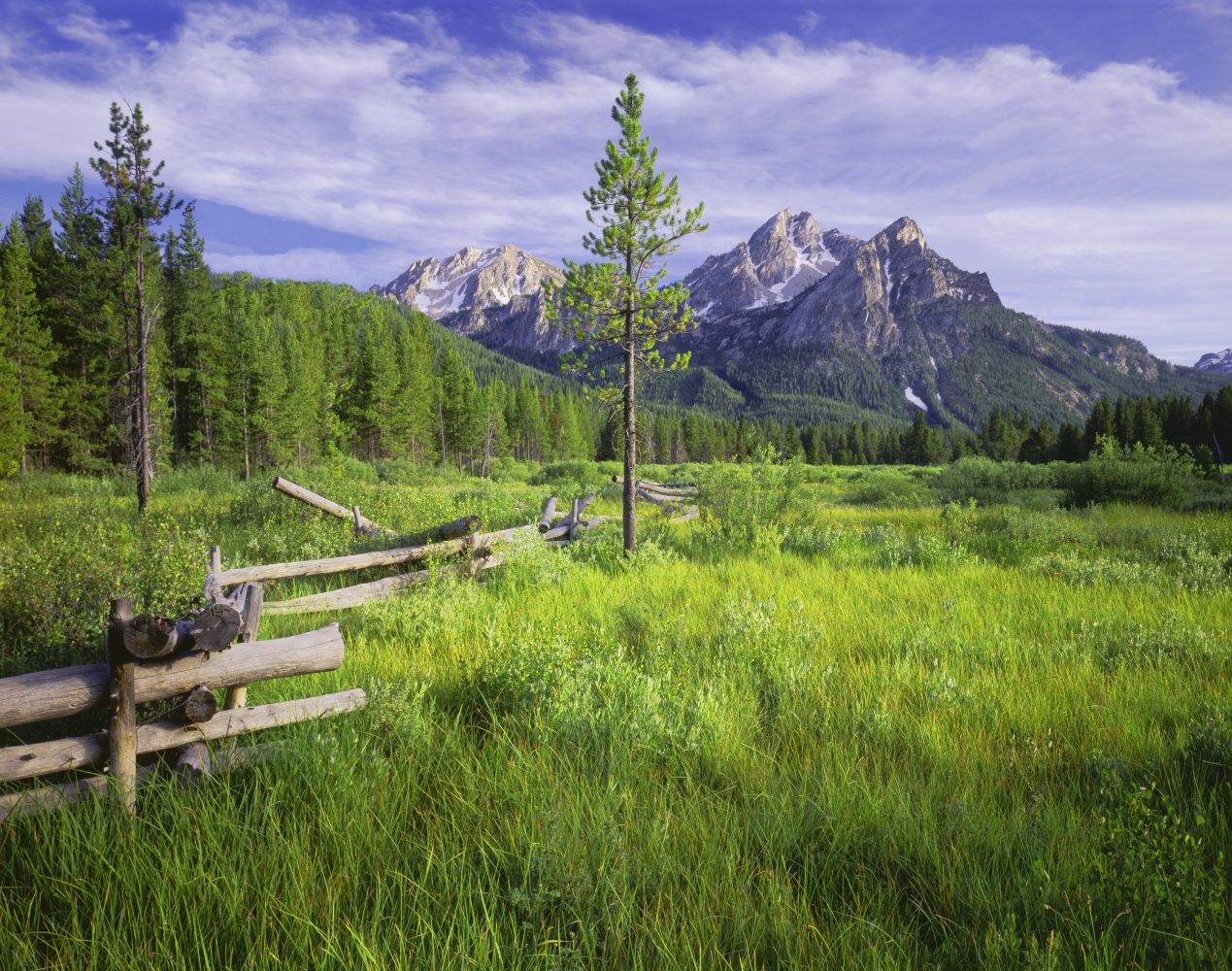 About Us - Link Up Idaho