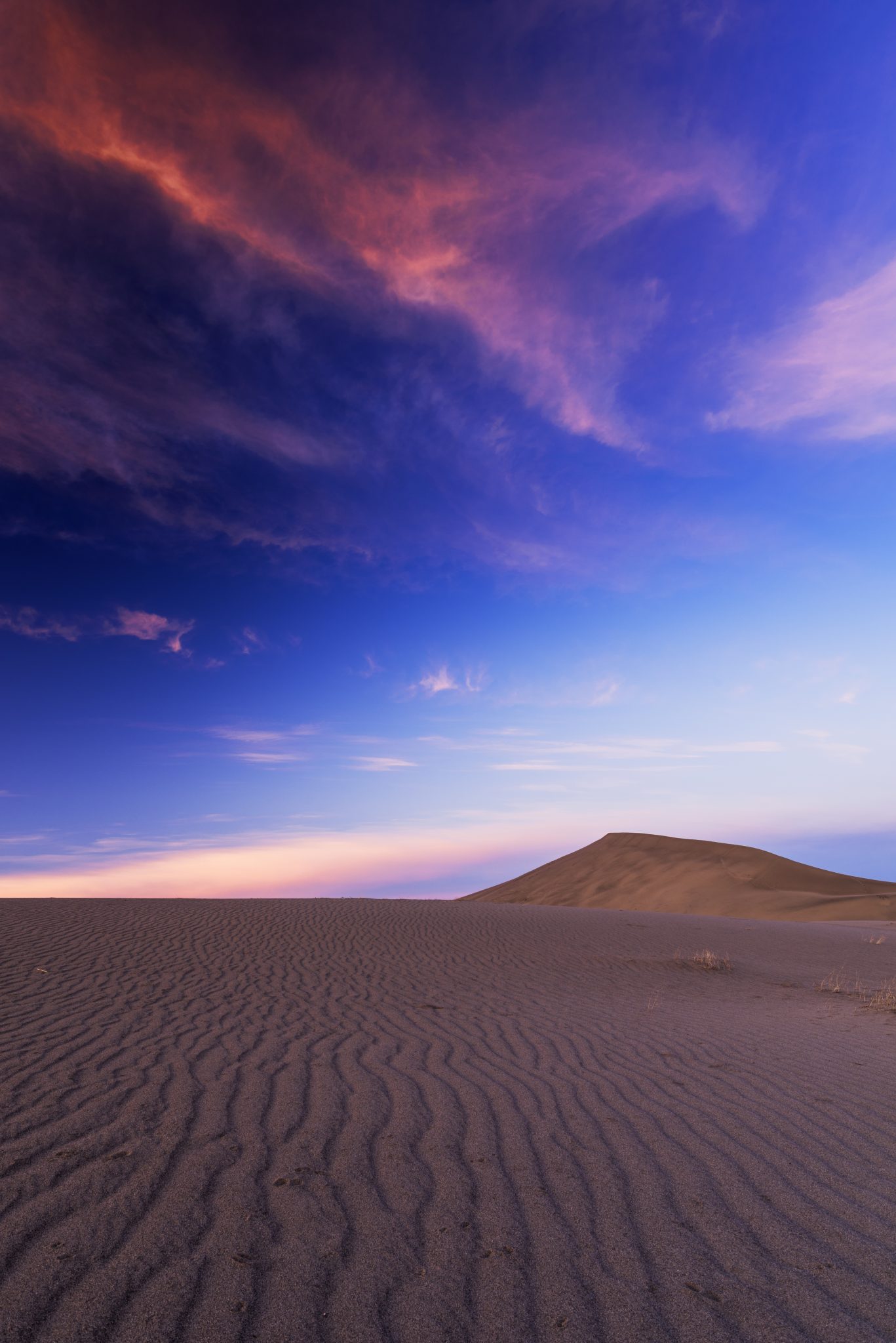 Contact Us - Link Up Idaho